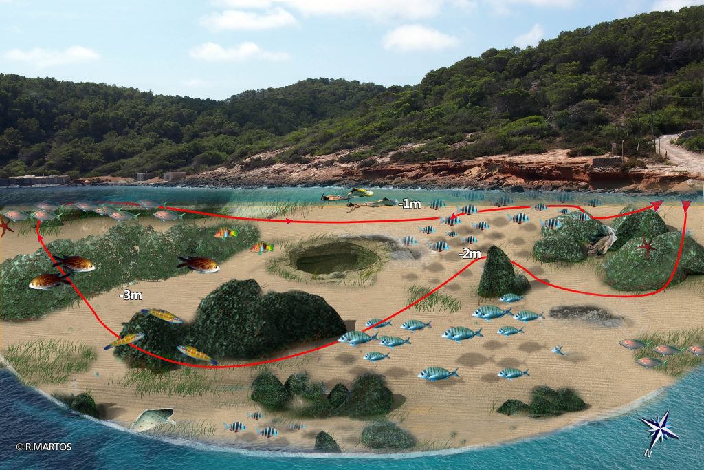 Sa Sal Rossa - Santjosep.net